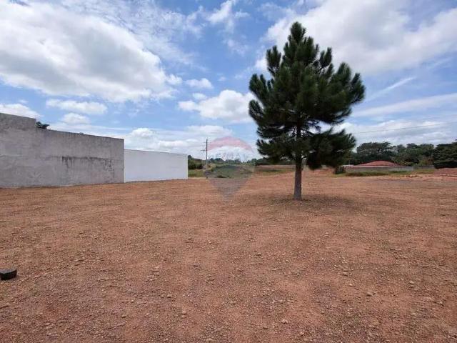 Terreno / Lote para Venda em Botucatu/SP Residencial Lívia I