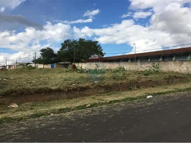 Terreno / Lote para Venda em Botucatu/SP Residencial Lívia