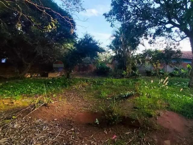 Terreno / Lote para Venda em Botucatu/SP Vila Antártica