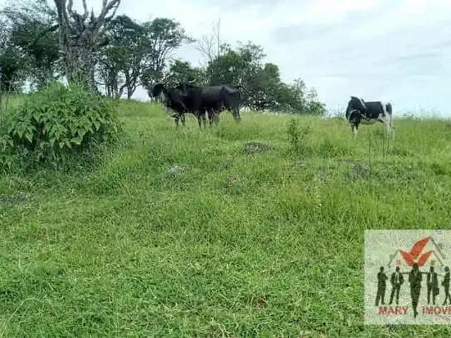 Terreno / Lote para Venda em Botelhos/MG Centro