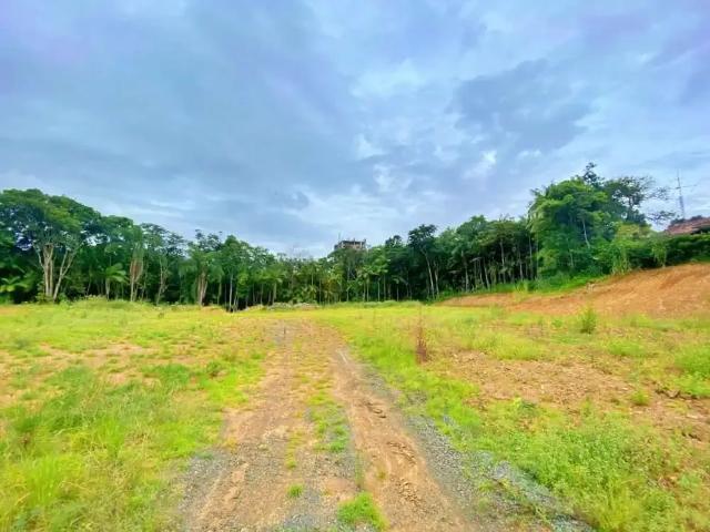 Terreno / Lote para Venda em Blumenau/SC Água Verde