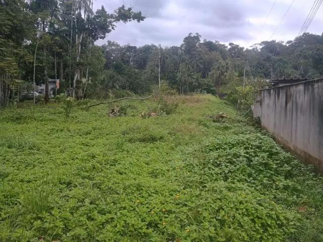 Terreno / Lote para Venda em Blumenau/SC Badenfurt
