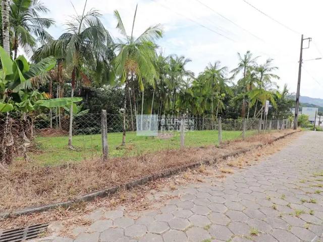 Terreno / Lote para Venda em Blumenau/SC Badenfurt
