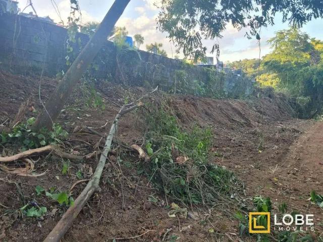 Terreno / Lote para Venda em Blumenau/SC Escola Agrícola