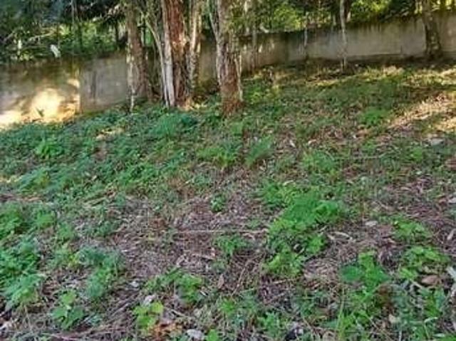 Terreno / Lote para Venda em Blumenau/SC Escola Agrícola