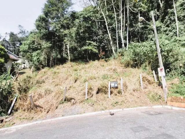 Terreno / Lote para Venda em Blumenau/SC Escola Agrícola