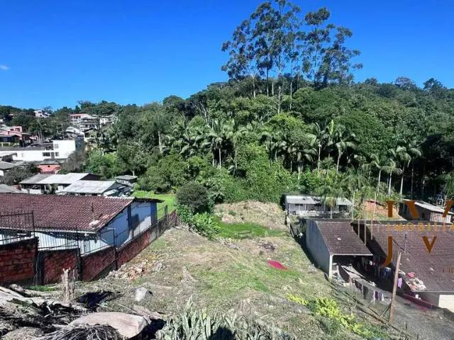 Terreno / Lote para Venda em Blumenau/SC Fidélis
