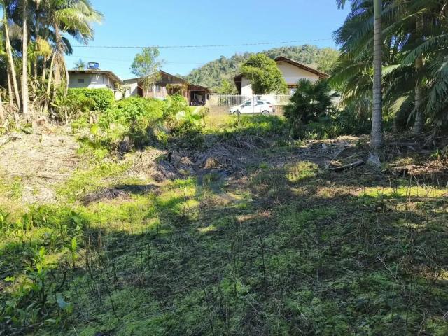 Terreno / Lote para Venda em Blumenau/SC Fidélis