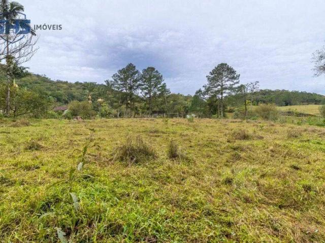 Terreno / Lote para Venda em Blumenau/SC Fidélis