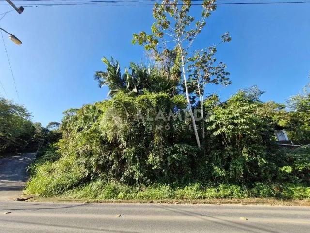Terreno / Lote para Venda em Blumenau/SC Fidélis