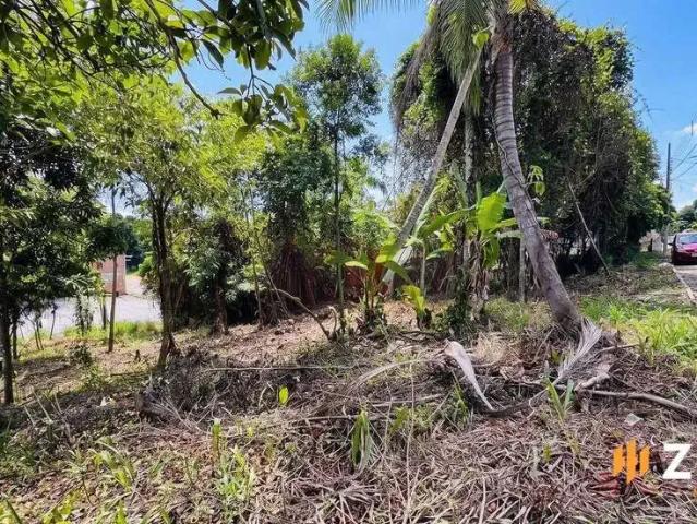Terreno / Lote para Venda em Blumenau/SC Fortaleza
