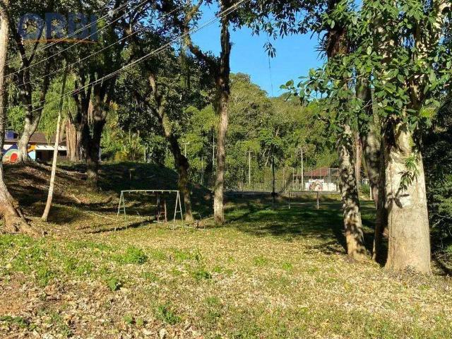 Terreno / Lote para Venda em Blumenau/SC Fortaleza