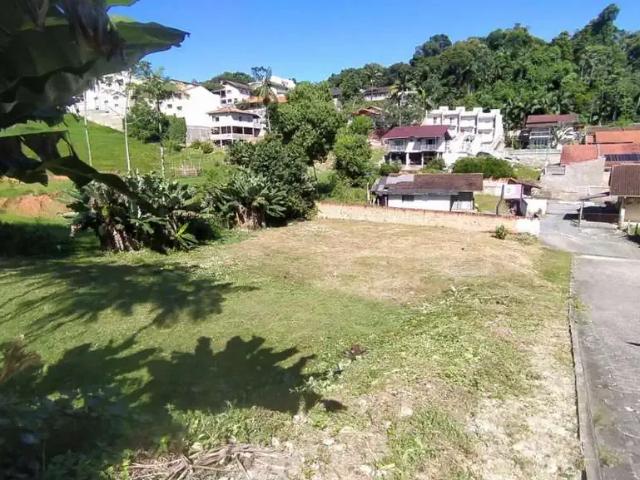 Terreno / Lote para Venda em Blumenau/SC Fortaleza