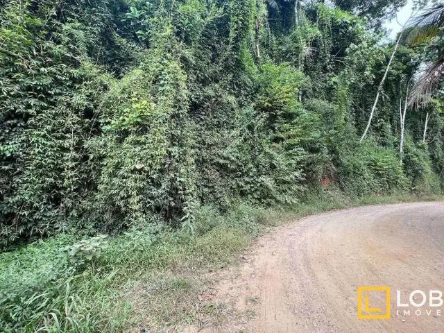 Terreno / Lote para Venda em Blumenau/SC Fortaleza