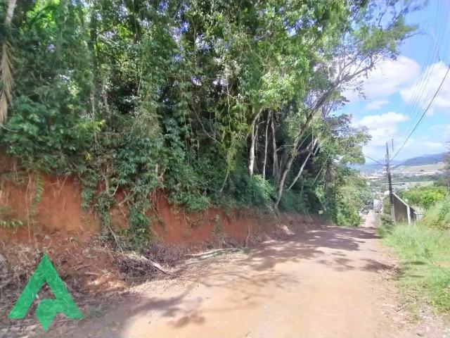 Terreno / Lote para Venda em Blumenau/SC Fortaleza