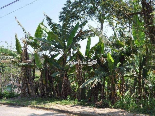 Terreno / Lote para Venda em Blumenau/SC Fortaleza