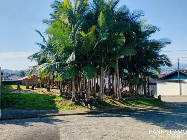 Terreno / Lote para Venda em Blumenau/SC Fortaleza