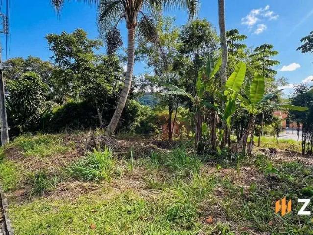 Terreno / Lote para Venda em Blumenau/SC Fortaleza
