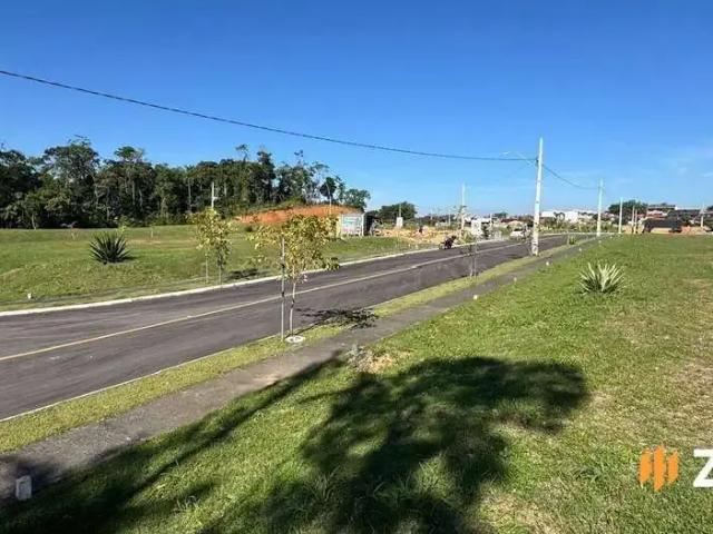 Terreno / Lote para Venda em Blumenau/SC Fortaleza