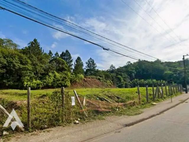 Terreno / Lote para Venda em Blumenau/SC Fortaleza
