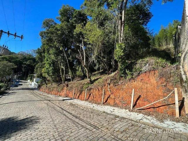 Terreno / Lote para Venda em Blumenau/SC Garcia