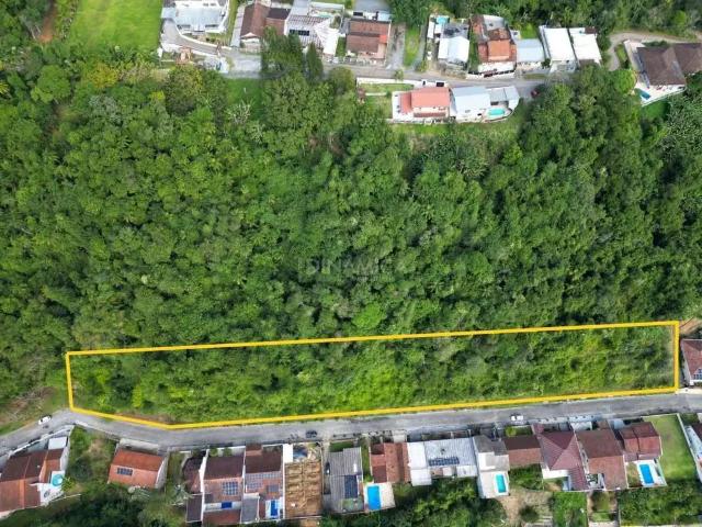 Terreno / Lote para Venda em Blumenau/SC Garcia