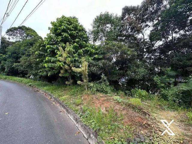Terreno / Lote para Venda em Blumenau/SC Garcia