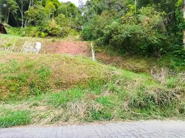 Terreno / Lote para Venda em Blumenau/SC Garcia