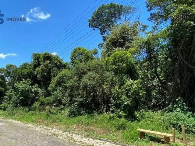Terreno / Lote para Venda em Blumenau/SC Garcia