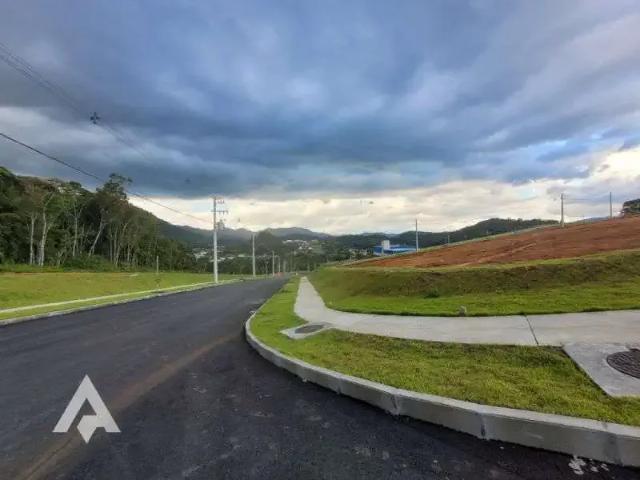 Terreno / Lote para Venda em Blumenau/SC Itoupava Central