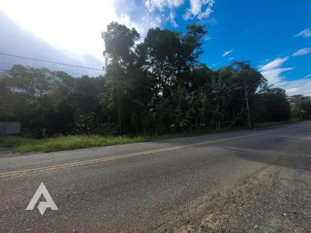 Terreno / Lote para Venda em Blumenau/SC Itoupava Central