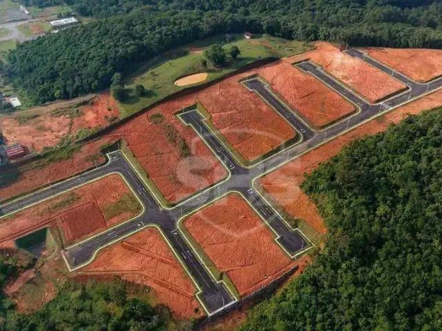 Terreno / Lote para Venda em Blumenau/SC Itoupava Central
