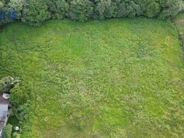 Terreno / Lote para Venda em Blumenau/SC Itoupava Central