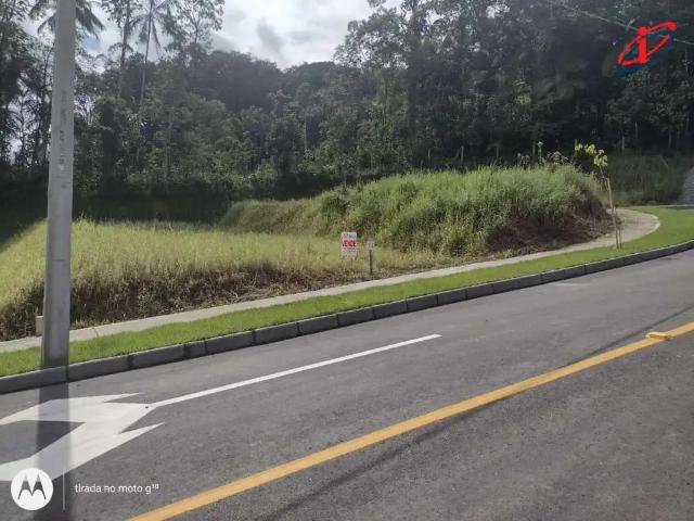 Terreno / Lote para Venda em Blumenau/SC Itoupava Central