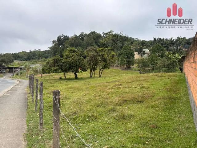 Terreno / Lote para Venda em Blumenau/SC Itoupava Central