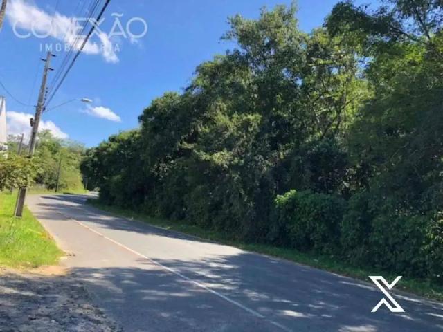 Terreno / Lote para Venda em Blumenau/SC Itoupava Central