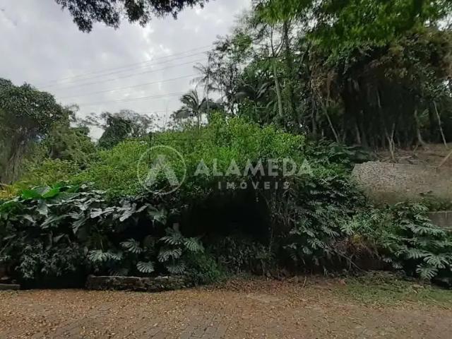 Terreno / Lote para Venda em Blumenau/SC Itoupava Seca