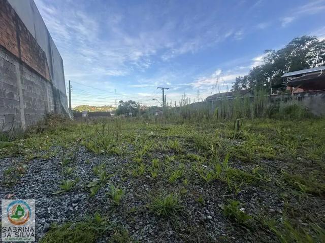 Terreno / Lote para Venda em Blumenau/SC Itoupavazinha