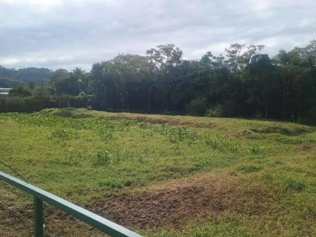 Terreno / Lote para Venda em Blumenau/SC Itoupavazinha