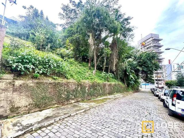 Terreno / Lote para Venda em Blumenau/SC Jardim Blumenau