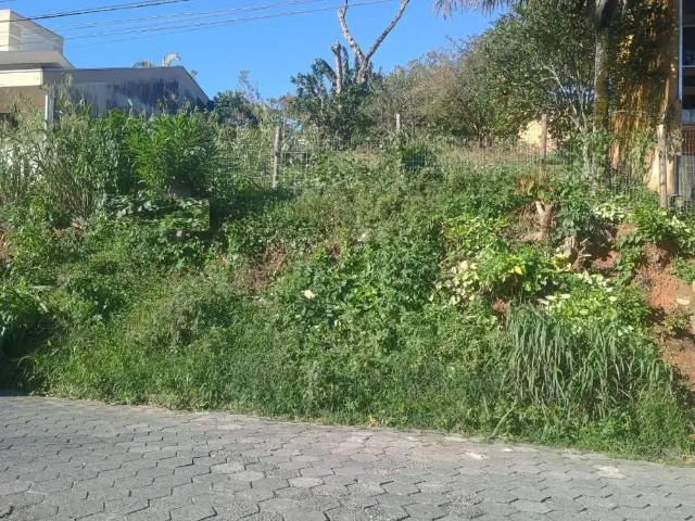 Terreno / Lote para Venda em Blumenau/SC Passo Manso