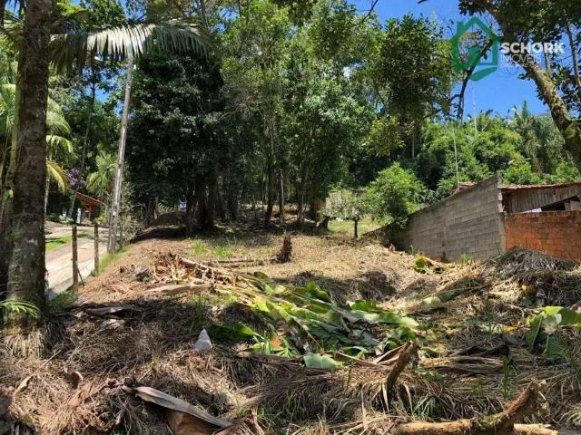 Terreno / Lote para Venda em Blumenau/SC Passo Manso