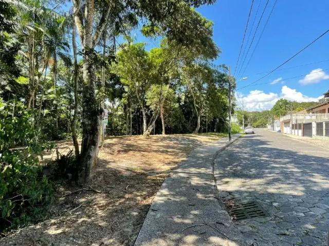 Terreno / Lote para Venda em Blumenau/SC Ponta Aguda