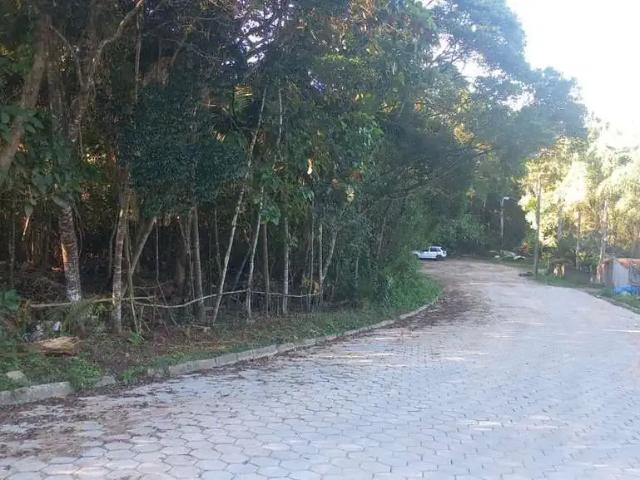 Terreno / Lote para Venda em Blumenau/SC Ponta Aguda