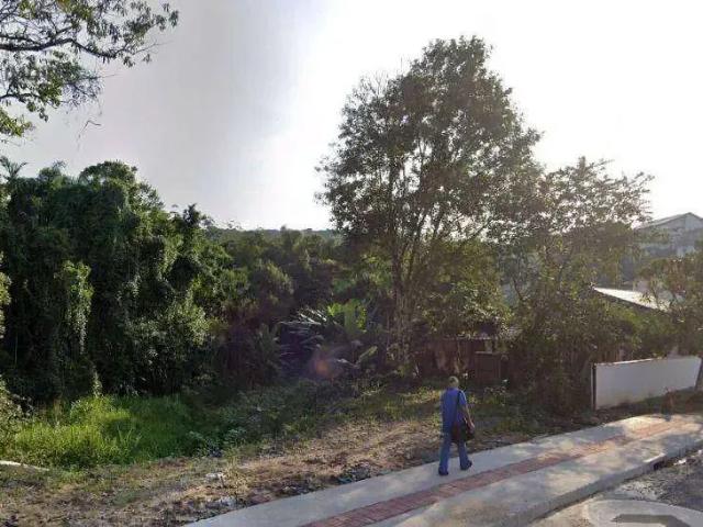 Terreno / Lote para Venda em Blumenau/SC Ponta Aguda