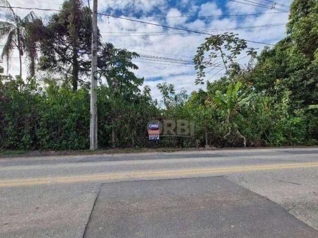 Terreno / Lote para Venda em Blumenau/SC Ponta Aguda
