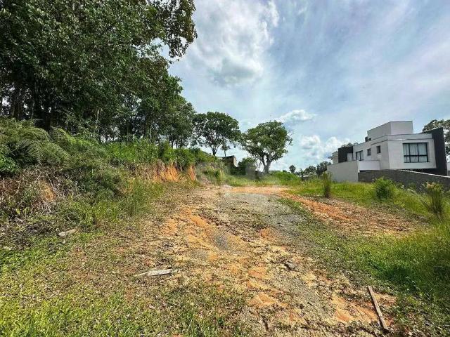 Terreno / Lote para Venda em Blumenau/SC Ponta Aguda