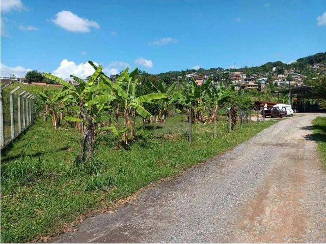 Terreno / Lote para Venda em Blumenau/SC Ponta Aguda