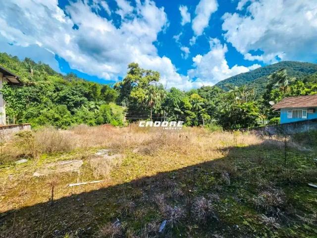 Terreno / Lote para Venda em Blumenau/SC Progresso