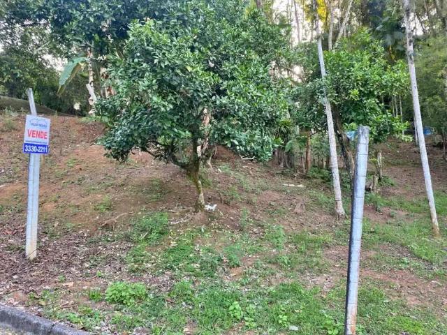 Terreno / Lote para Venda em Blumenau/SC Salto do Norte